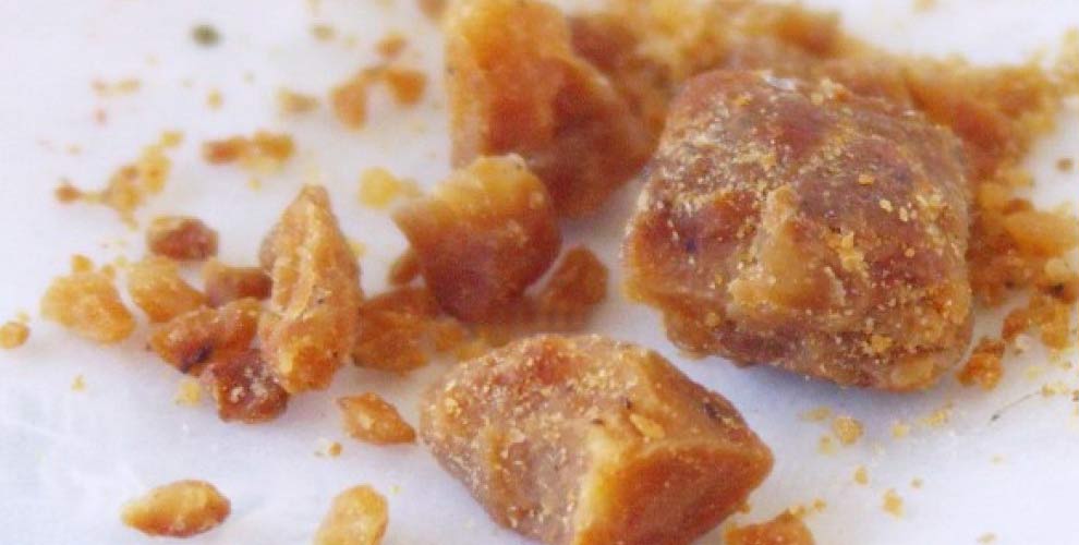 Heeng Cultivation In India: भारत में कहां होने जा रही हींग की खेती ...