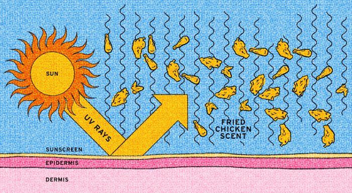 KFC launches ‘Extra Crispy Sunscreen’ to make you smell as irresistible ...