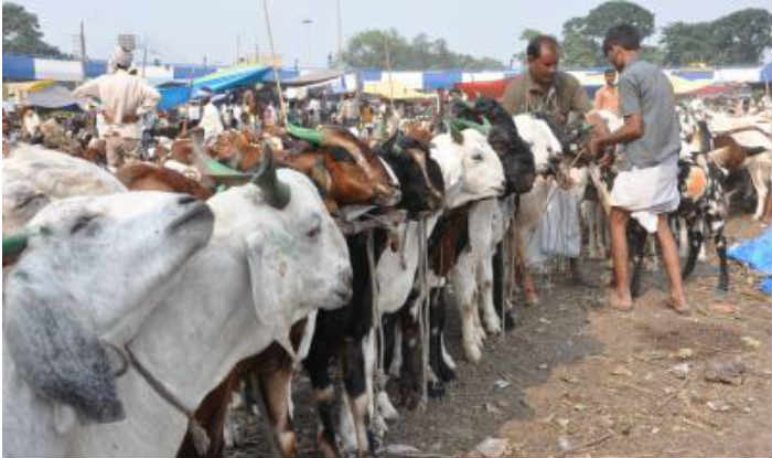No Bar From Supreme Court on COVID Relaxations For Bakrid Celebrations ...