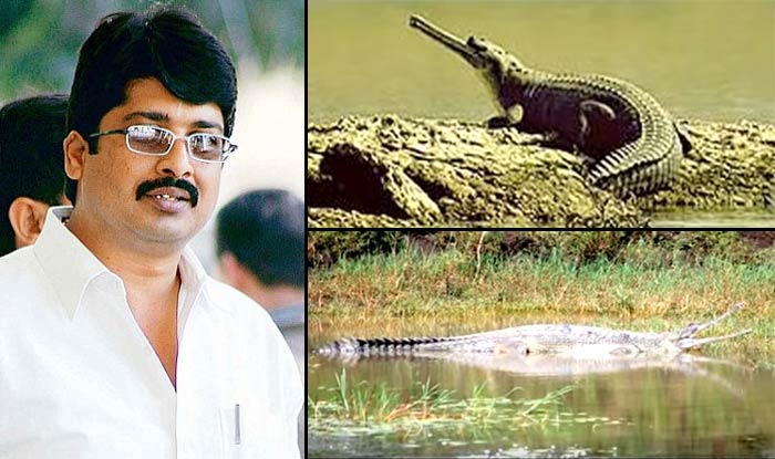 Interesting facts about dabangg MLA Raja Bhaiya | जानिए दबंग विधायक ...
