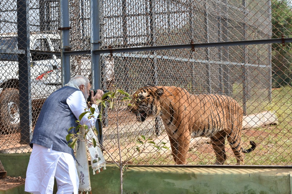 PM Narendra Modi clicked a photo of a Tiger and Twitter went crazy ...