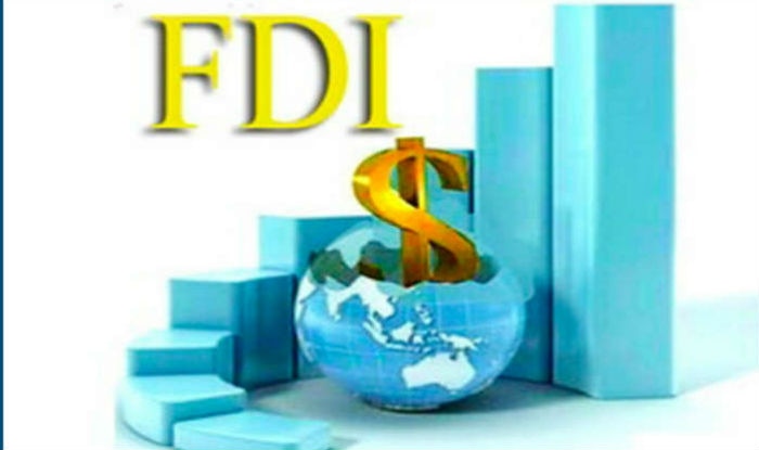 FDI to be Next Growth Booster in India's Retail Sector: Deloitte