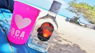 Top 10 strongest Alcoholic Drinks of the World: From Absinthe to ...