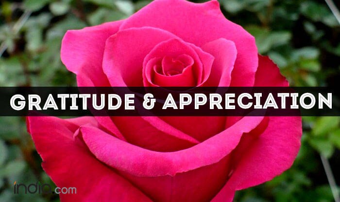 Happy Rose Day 2017: Meaning and Significance of different rose colours ...