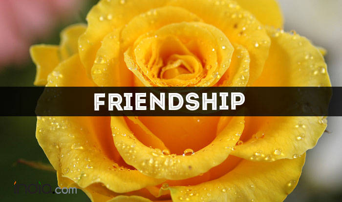 Happy Rose Day 2017: Meaning and Significance of different rose colours ...