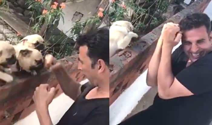 Akshay Kumar’s new workout regime involves 4 dogs and it’s cute beyond ...
