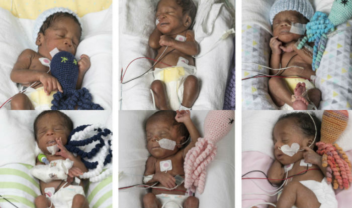 Sextuplets born in Virginia hospital to couple trying to conceive for ...