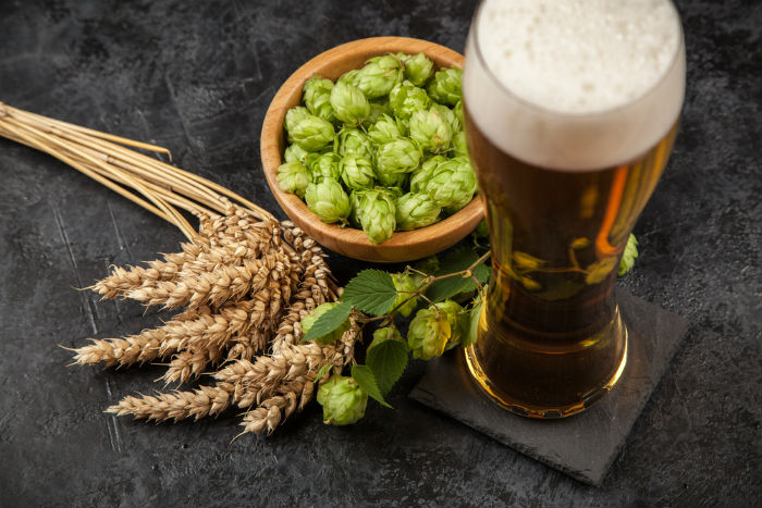 Health benefits of beer: 10 surprising health benefits of drinking beer ...