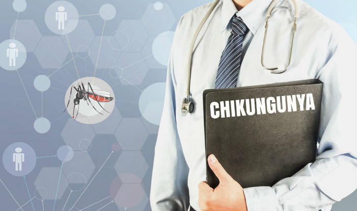What is chikungunya: Causes, symptoms, treatment and prevention of ...