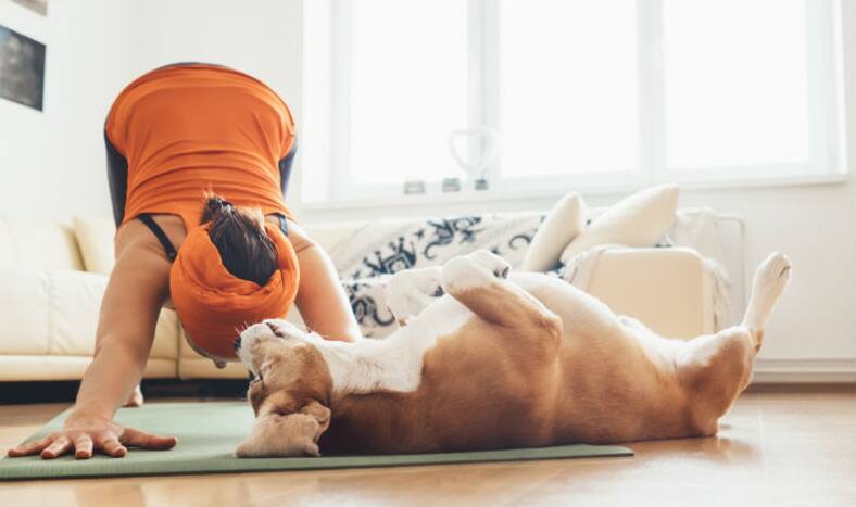 6 Unusual Yoga Trends of 2017 | India.com