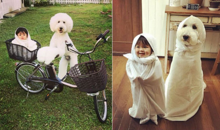 11 Pictures of the Japanese Toddler Girl and her Pet Giant Poodle are a ...