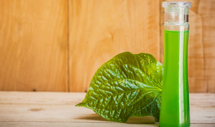 Beauty Benefits of Betel Leaves: Reduce Hair Fall, Acne and Body Odor ...