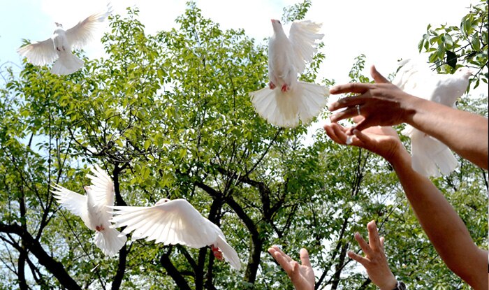 International Day of Peace 2017: Twitter Pours In Messages Promoting ...