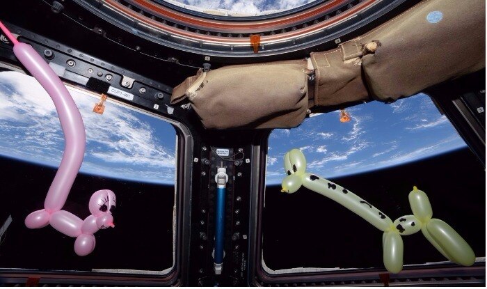 Astronaut Makes Balloon Animals to Answer Kids Who Ask ‘Are There Pets ...