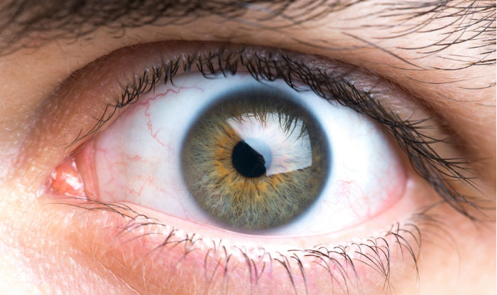 World’s Oldest Eye Discovered Inside a 530 Million Years Old Fossil ...