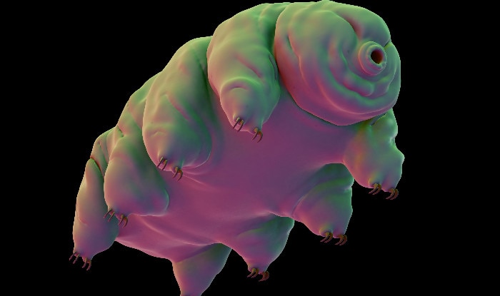 Alien Bugs May Have Already Been Transported to Earth, Says Scientists ...