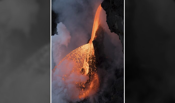 2017 National Geographic Nature Photographer of the Year: See all the ...