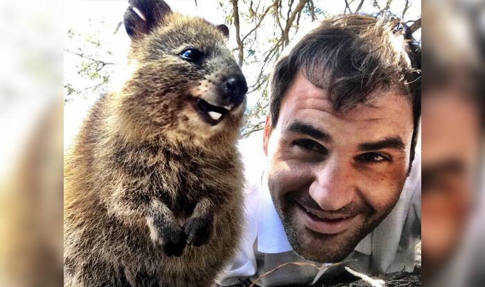 Roger Federer’s Photo With Quokka (World’s Happiest Animal) is The ...