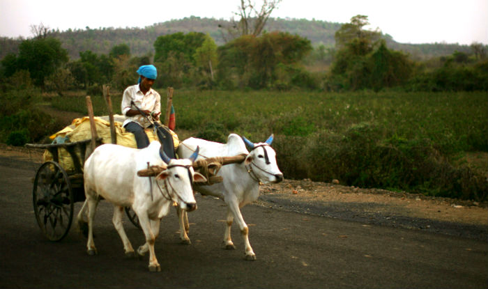 Kisan Diwas 2017: Here’s Why Chaudhary Charan Singh’s Birth Anniversary ...