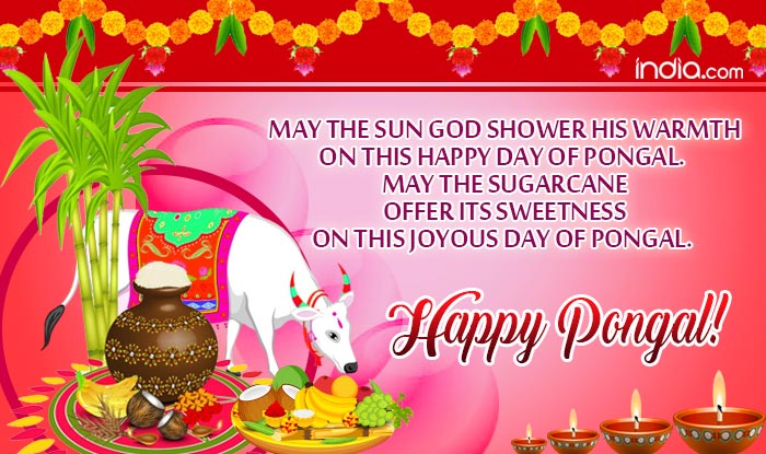 Happy Pongal 2020: Here Are Best Pongal WhatsApp Messages, Greetings ...