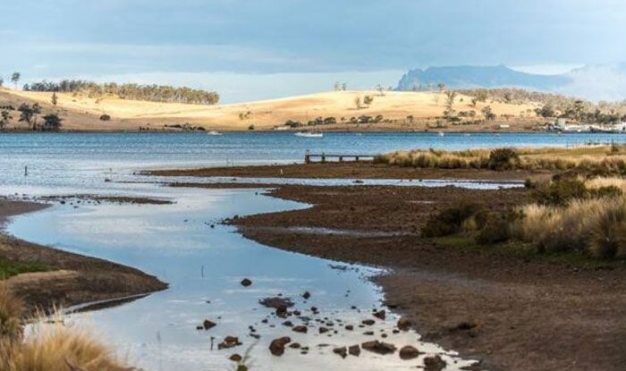 Check Out Extremely Rare Red Handfish Found Off Tasmanian Coast