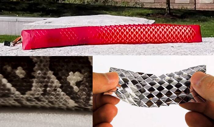 Watch This Creepy Crawling Robot Slither Around Like a Snake Using ...