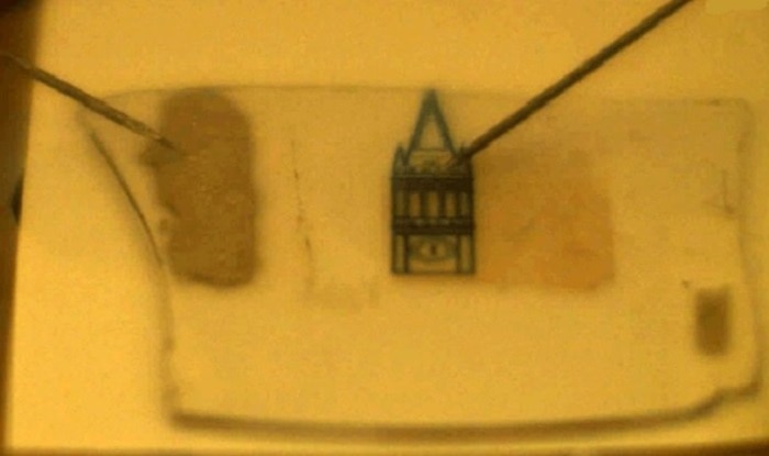 Atomically Thin Light Emitting Device Built By UC Berkeley Engineers ...