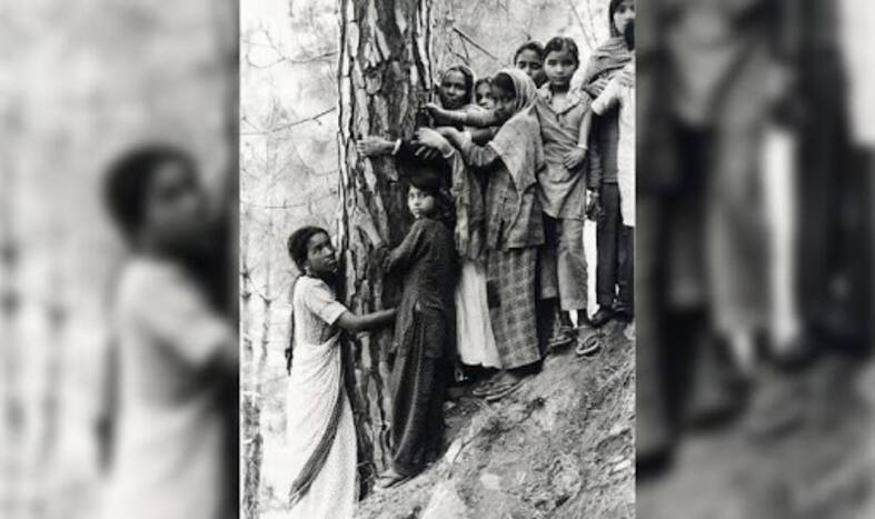 What is Chipko Movement? Here’s All You Need to Know About The Historic ...