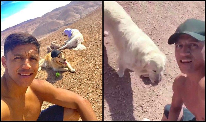 Meet Manchester United Star Alexis Sanchez, The Player Who Trains With ...