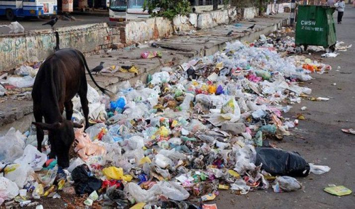 World Environment Day 2018: Delhi Tops Nation’s Chart in Generating ...