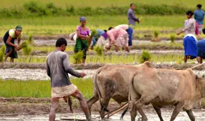 Goa Government Turns to Cosmic Science For Increase in Yield of Crops ...