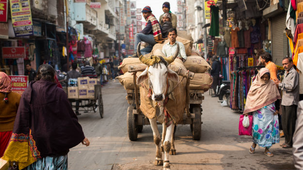 All you need, is a day to fall in love with India! | India.com