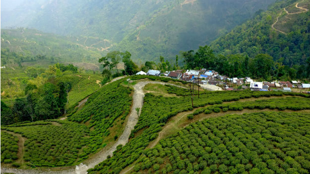 Take a virtual tour of Darjeeling in 4 minutes! | India.com