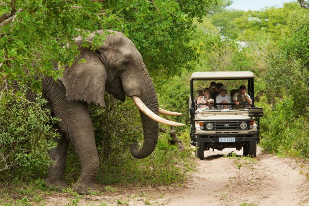 World Wildlife Day 2018: Best National Parks in South Africa To Explore ...