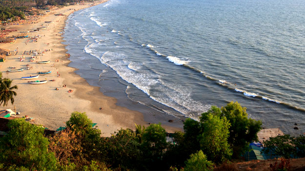 5 reasons you MUST visit Goa in December! | India.com