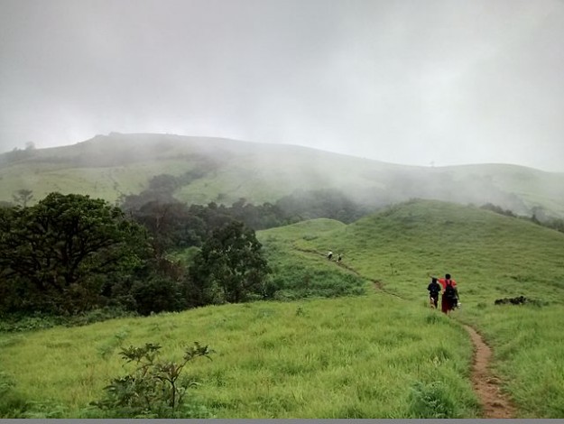 6 Incredible Forest Trails in India That Are Perfect for a Monsoon Trek ...