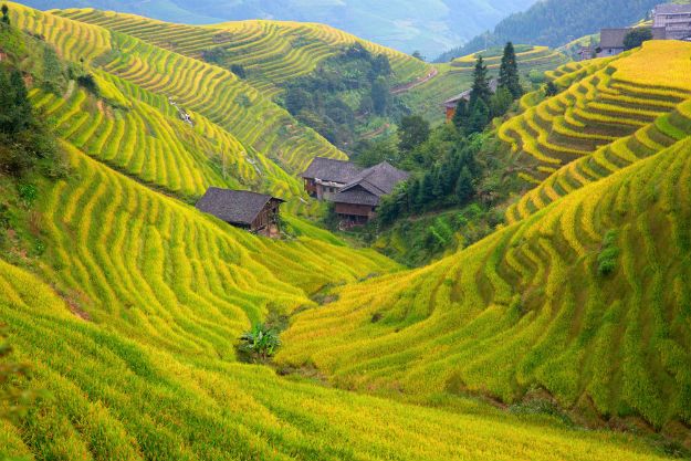 Breathtaking Pictures of Longsheng Rice Terraces in China Will Spark ...