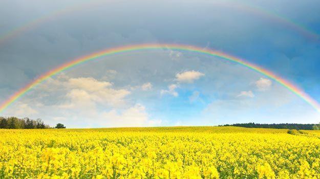 You must check out these rapturous rainbows captured across India ...