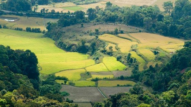 Mumbai to Coorg – How to Reach from Mumbai to Coorg by Road, Train, and ...