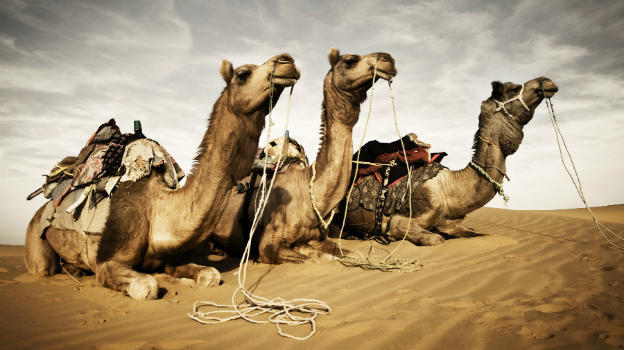 How to reach Tonk | India.com