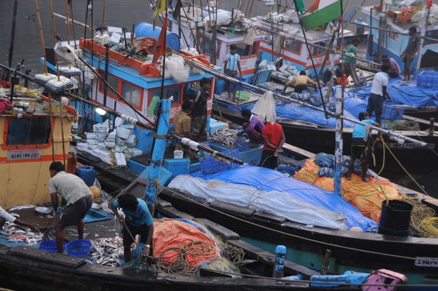 Visit the Sassoon Dock Art Project in Mumbai, Dedicated to the ...