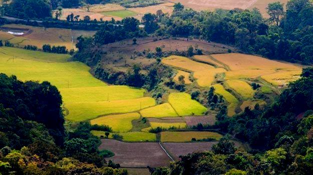 Monsoon Holidays 2017: Here’s why Coorg in Karnataka is The Best Place ...