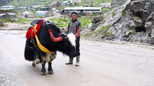 Darjeeling to Gangtok: How to reach Gangtok from Darjeeling by road ...