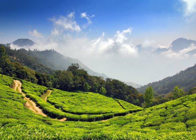 Holi 2016: 5 short trips for the long weekend | India.com