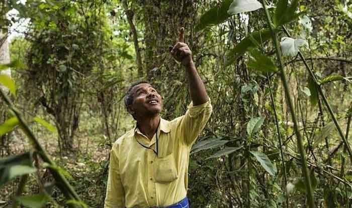 35 सालों तक लगाता रहा रोज एक पौधा, फिर जो हुआ वो आपने कभी नहीं सुना ...