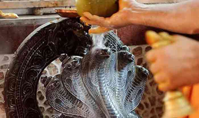 Nag Panchami 2018 History Significance And All You Need To Know