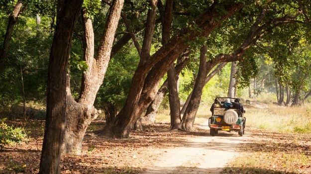 Diwali vacations 2015: Where to take a road trip in India | India.com