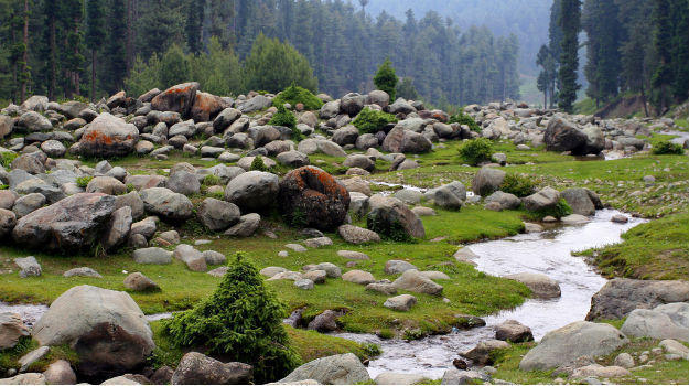 Yousmarg: An unexplored hilly heaven near Srinagar which you should ...