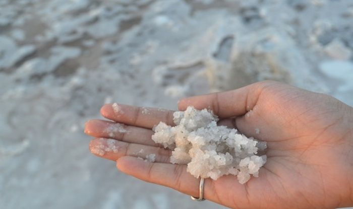 Rann of Kutch is One of The Largest Salt Deserts in The World | India.com