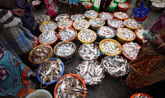 Job And Financial Insecurities Amid COVID-19 Force Circus Queen to ...